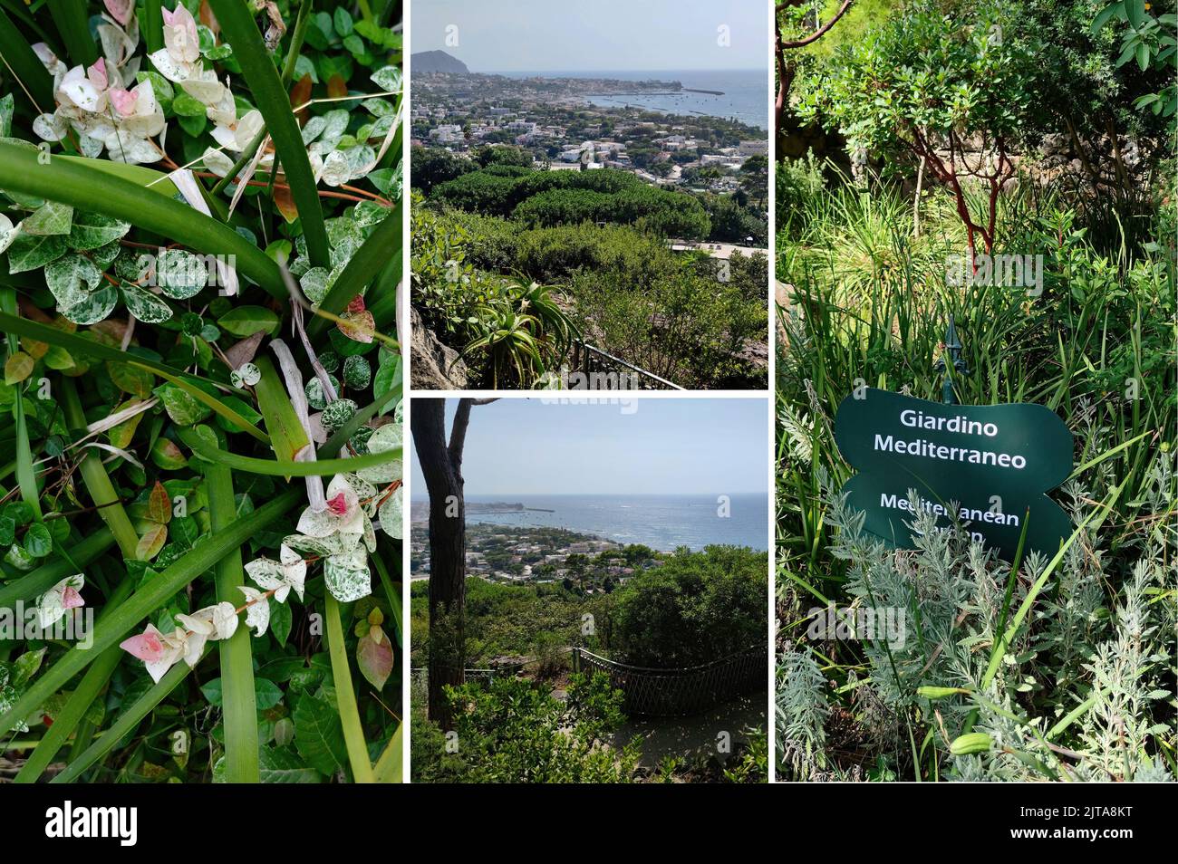 Founded by Lady Walton,wife of composer William Walton,La Mortella is ...