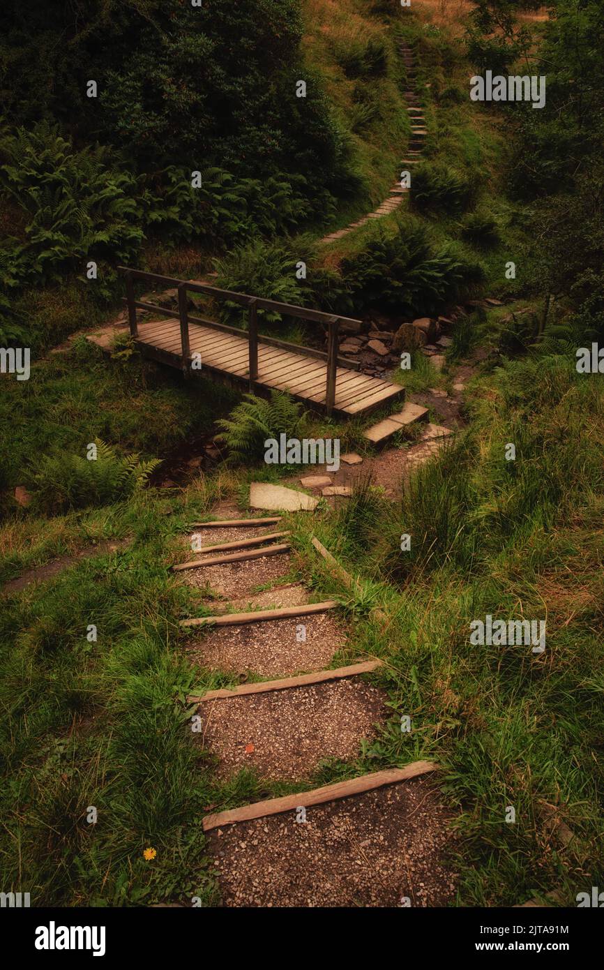 A vertical high-angle shot of a path with a wooden bridge surrounded by ...