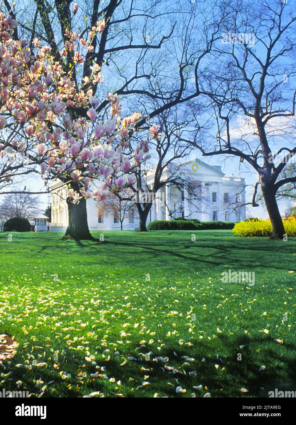 White House, Washington DC, USA. North portico and lawn in the spring ...