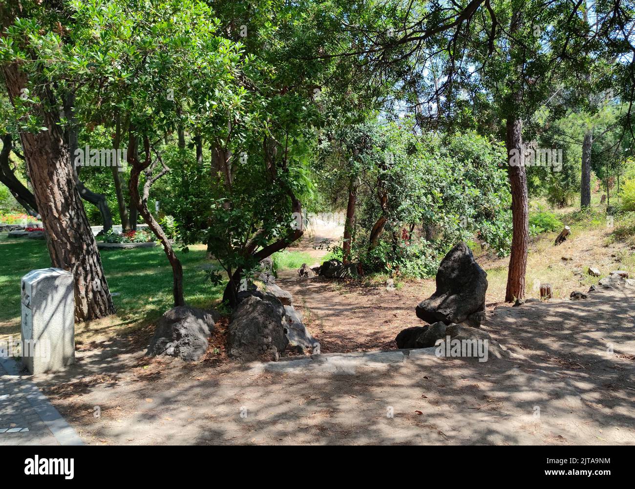 The beautiful and colorful Gardens of Ischia Porto (Island of Ischia ...