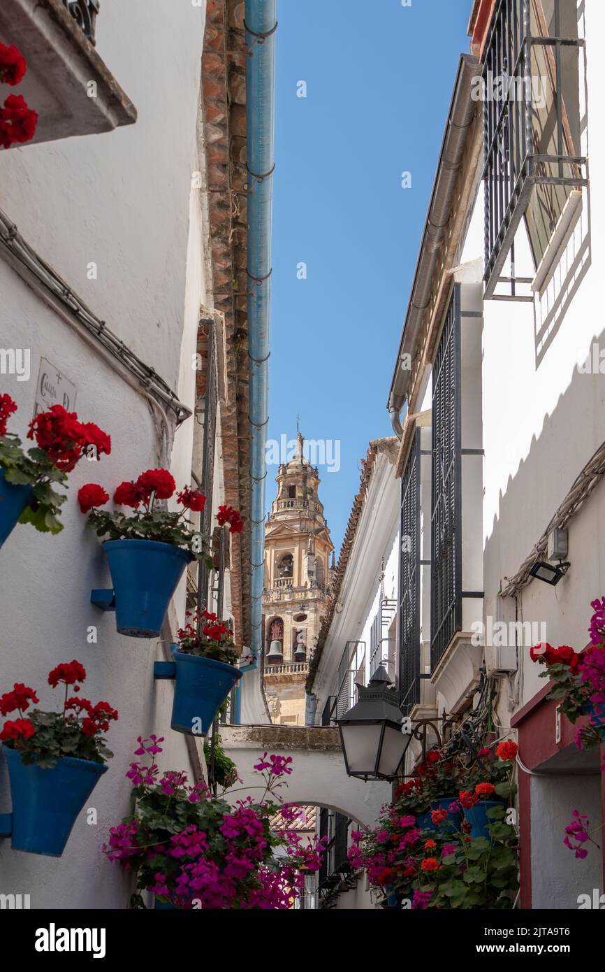 A vertical shot of the Mosque-Cathedral seen from a narrow street with ...
