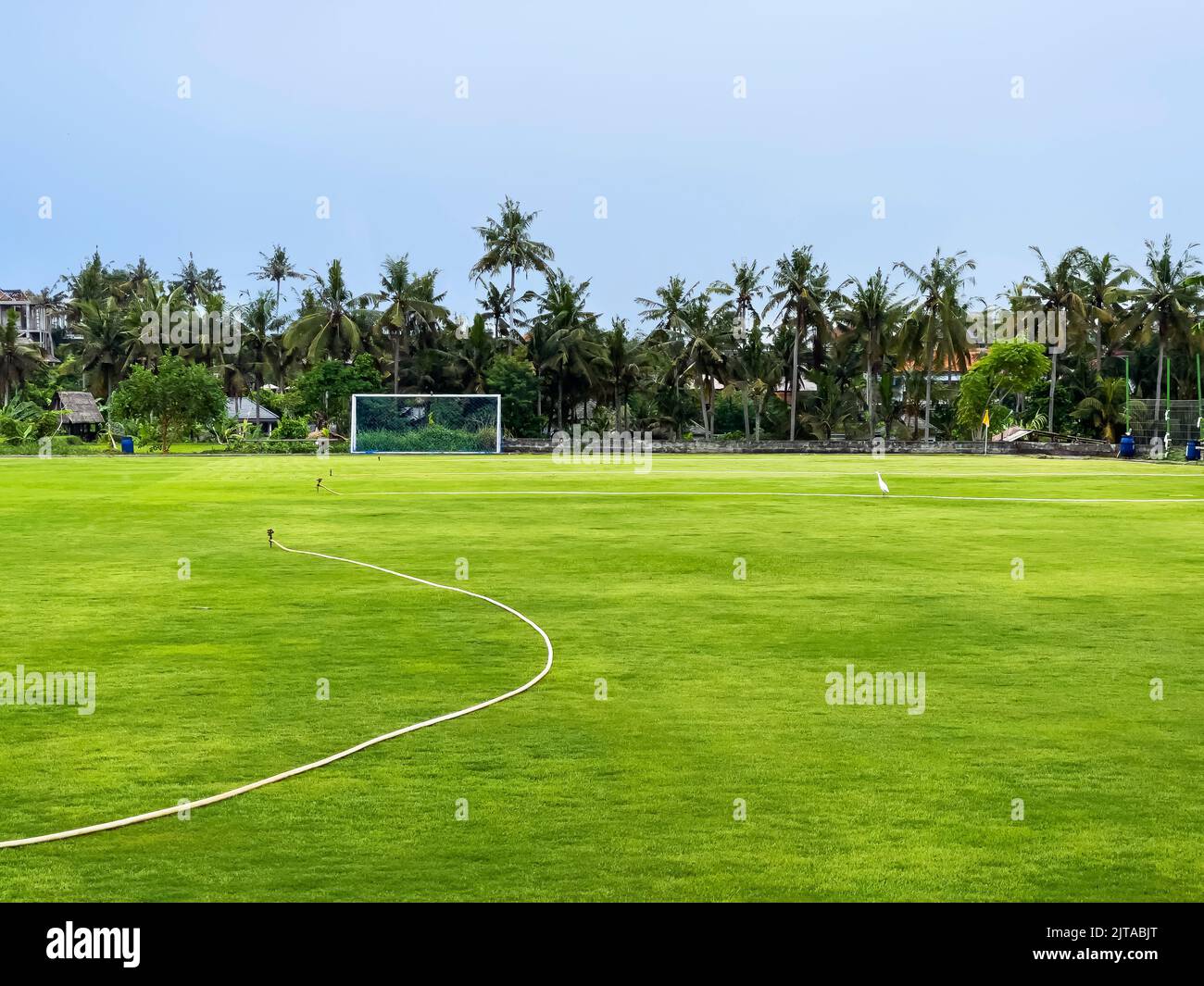 View of a huge football field with a green fresh lawn surrounded by ...