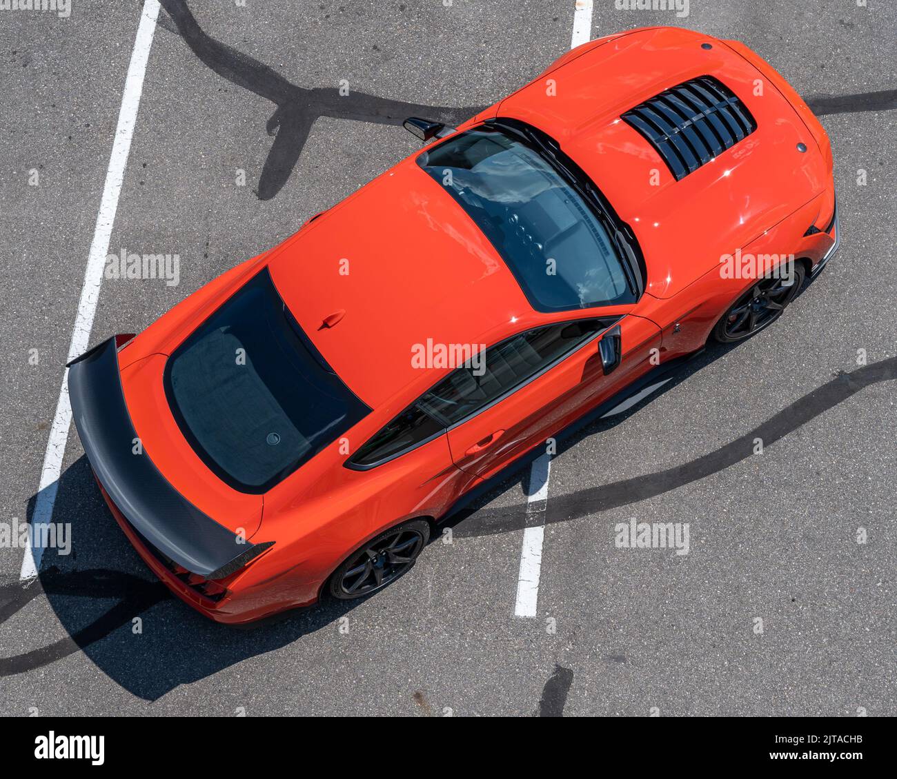 Cobra Car 2022 Black