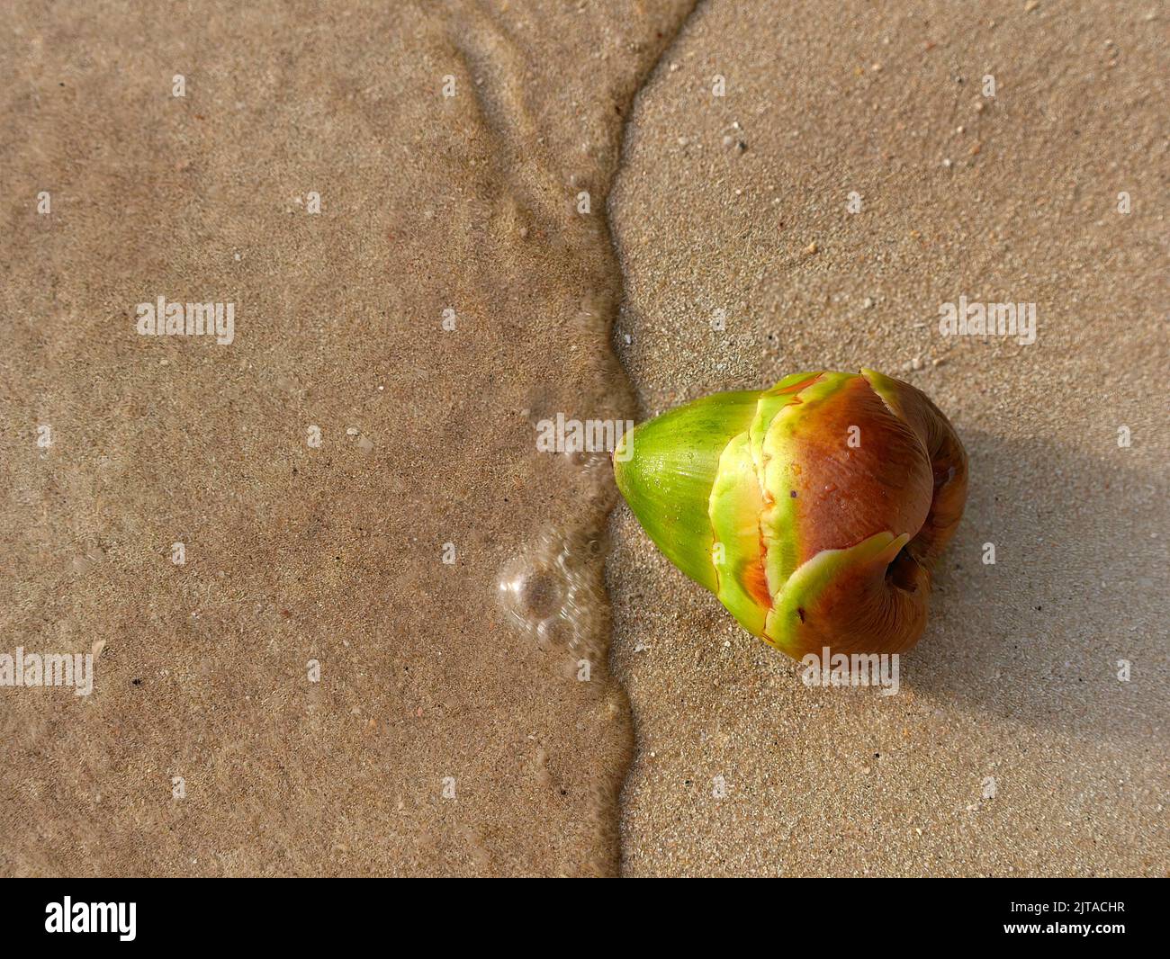 Raw wave hi-res stock photography and images - Alamy