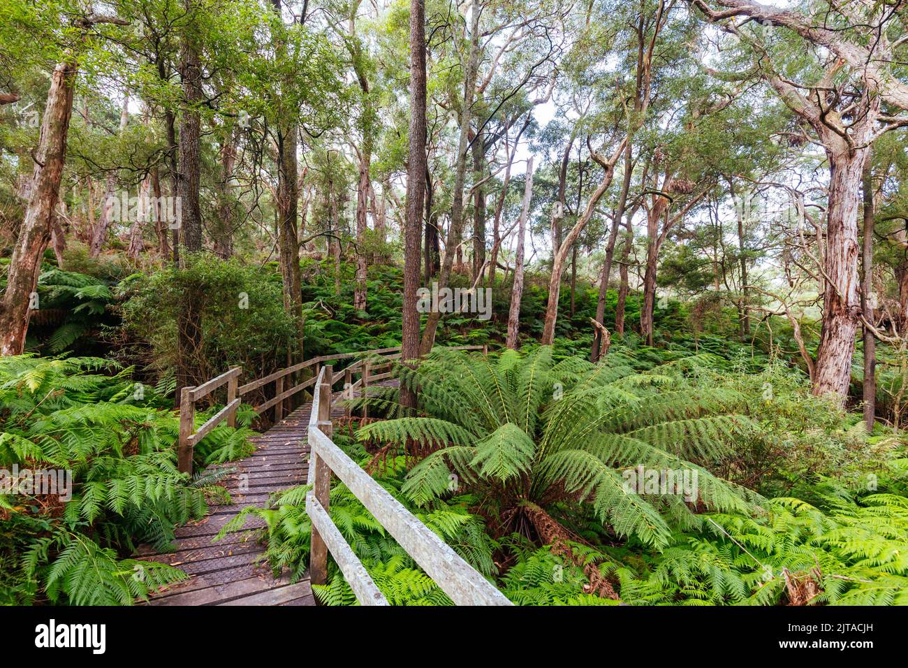 Two bays australia hi-res stock photography and images - Alamy