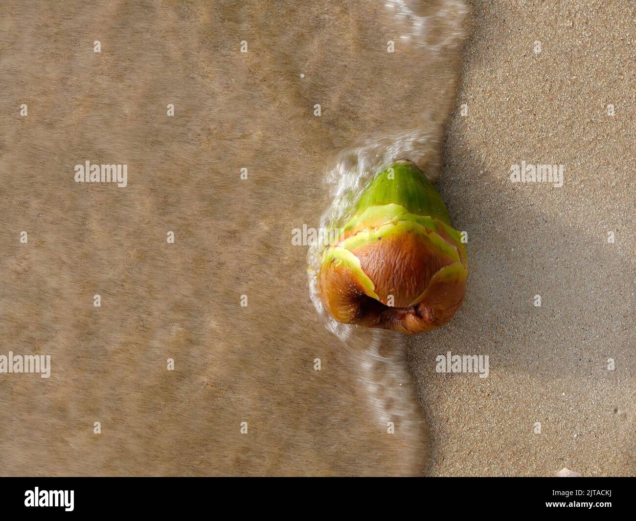 Stop motion hi-res stock photography and images - Alamy