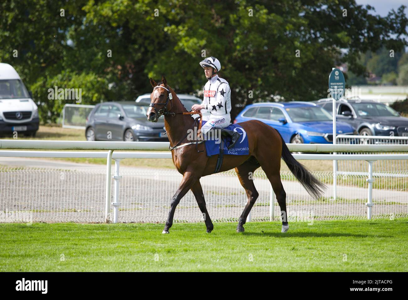 Jockey Clifford Lee on marshman at York Races Stock Photo - Alamy