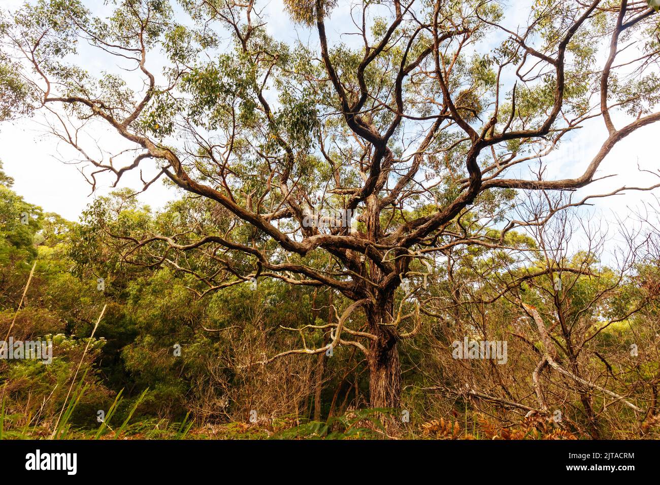 Two bays australia hi-res stock photography and images - Alamy