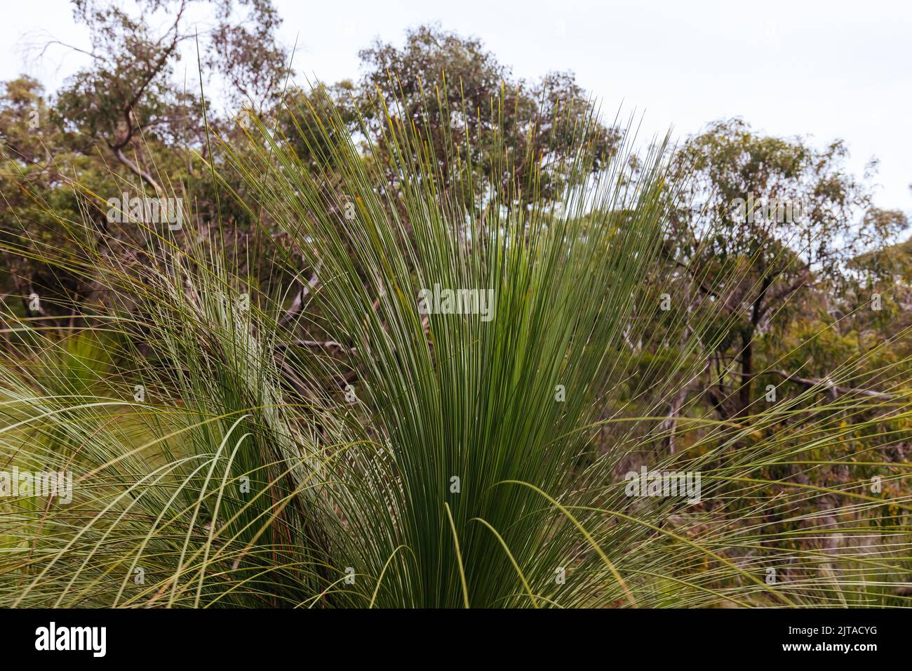 Two bays australia hi-res stock photography and images - Alamy