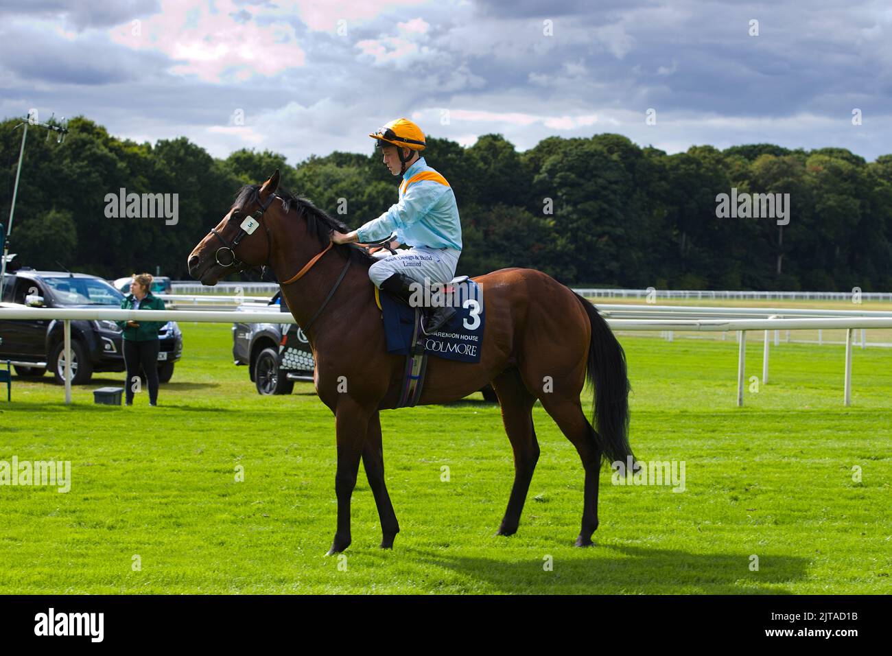 Jockey Ray Dawson on Clarendon House at York Races Stock Photo - Alamy Jockey Ray Dawson on Clarendon House at York Races Stock Photo - Alamy