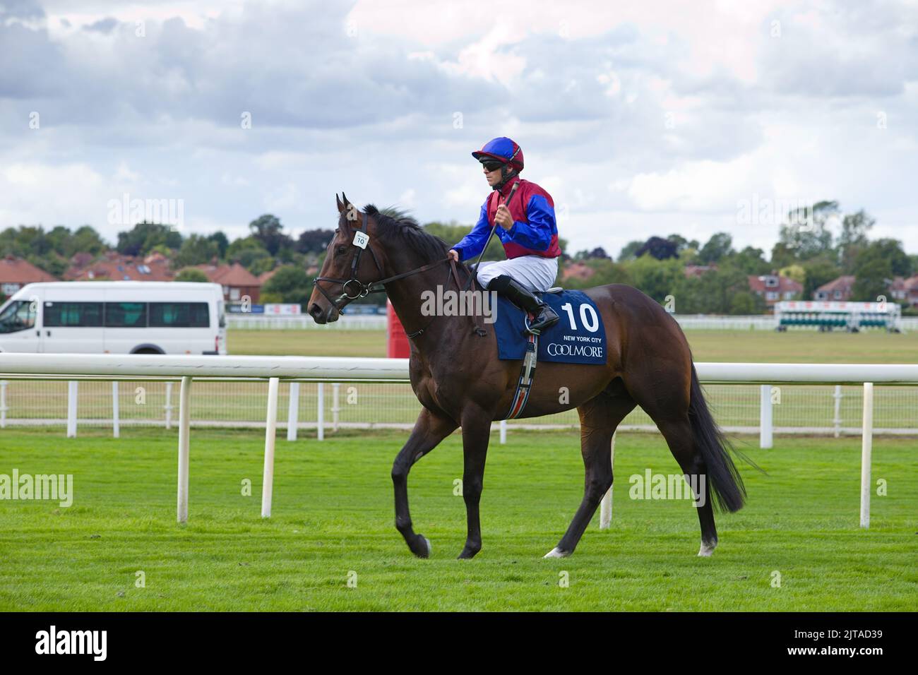 Jockey Wayne Lordan on New York City at York Races Stock Photo - Alamy