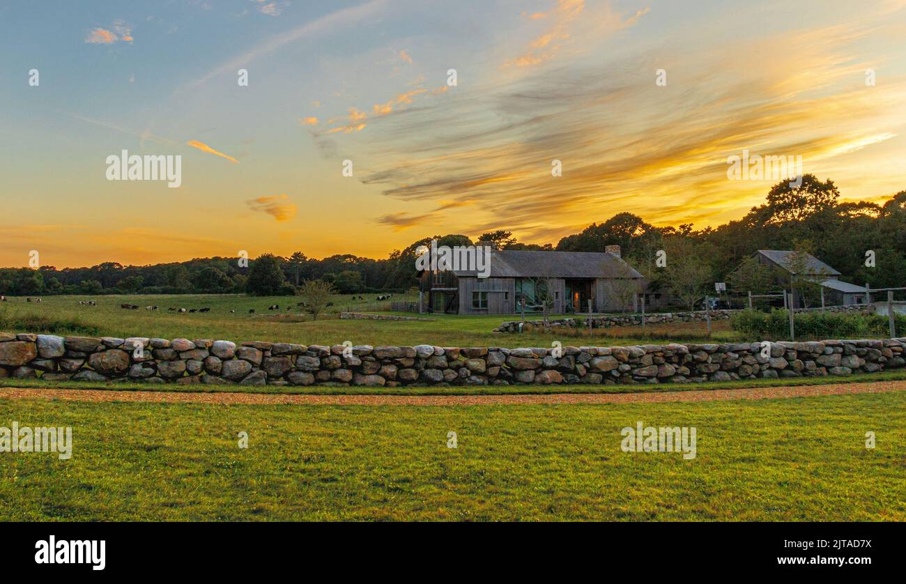 A farmhouse in the field at sunset in Martha's vineyard, Massachusetts ...
