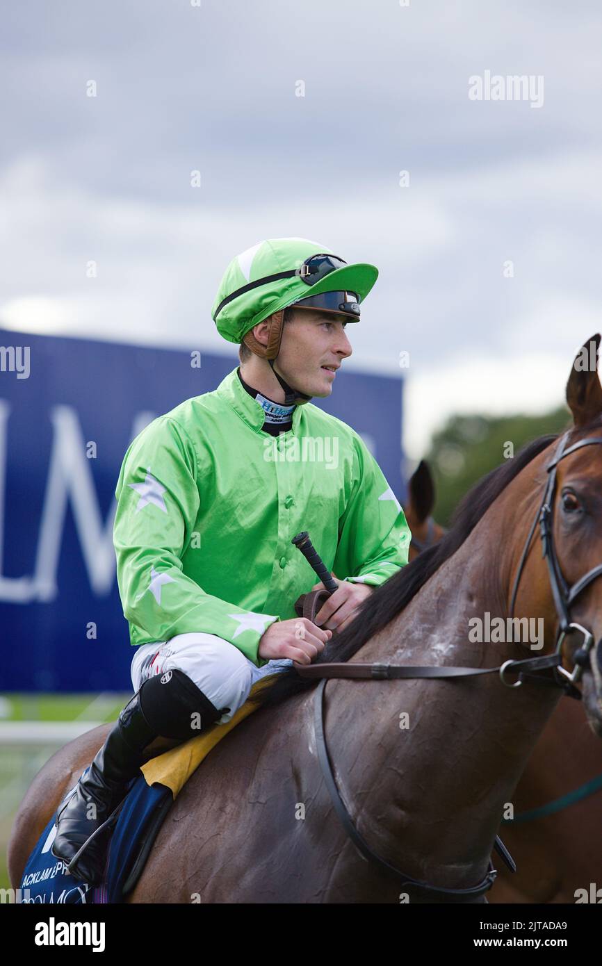 Jockey Rowan Scott on Acklam Express at York Races Stock Photo - Alamy