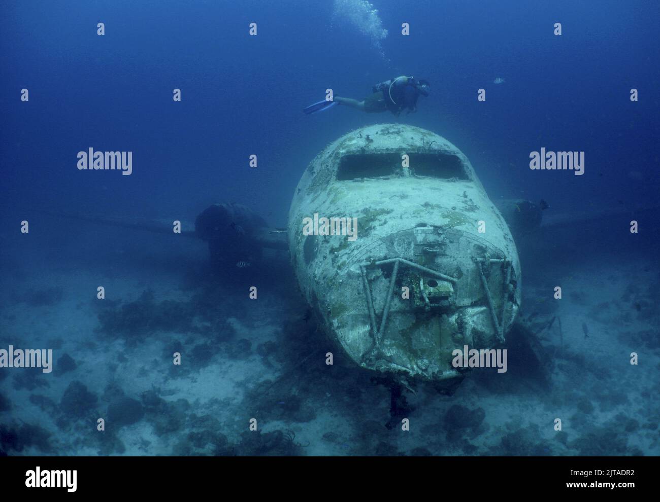 Diving plane hi-res stock photography and images - Alamy