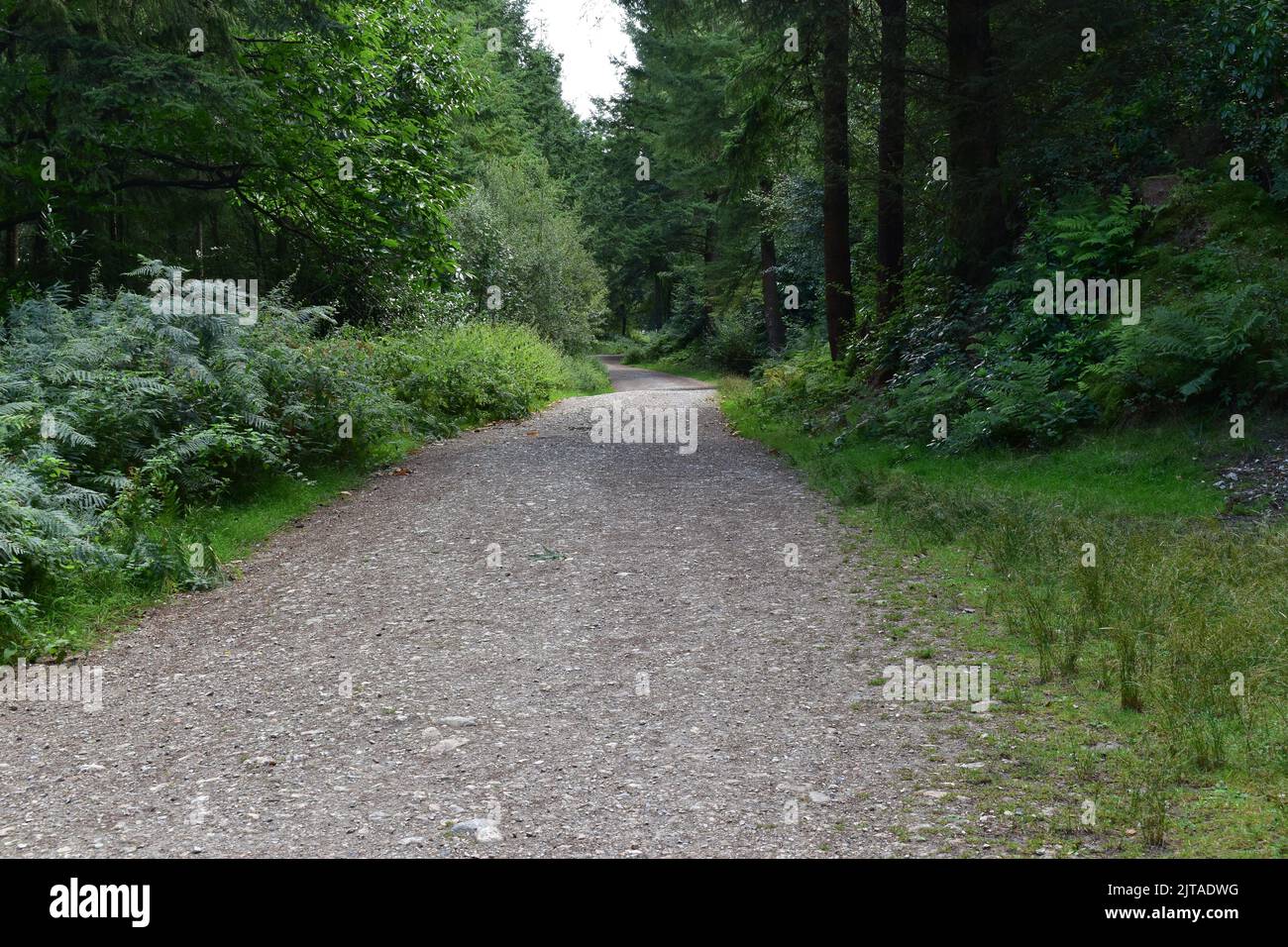 Haldon hill view hi-res stock photography and images - Alamy