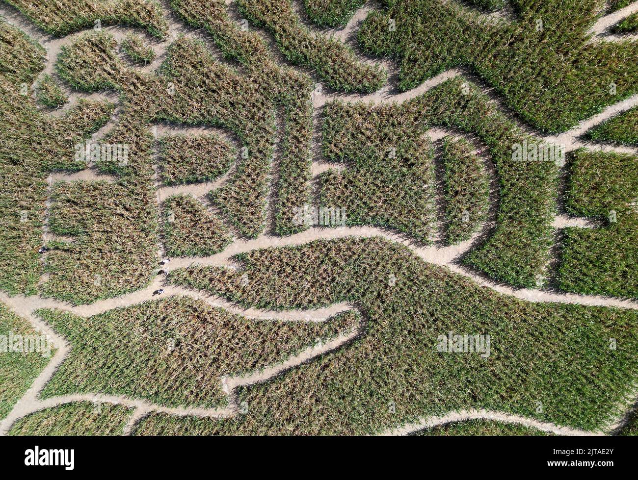 Neustetten, Germany. 29th Aug, 2022. The word "peace" can be seen in ...
