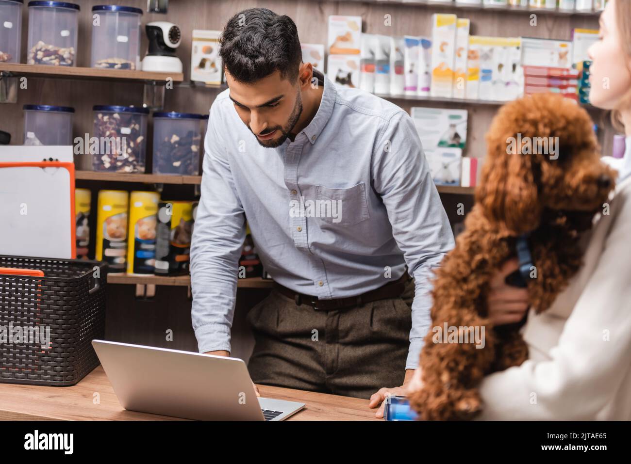 Arabian salesman looking at laptop near blurred customer with poodle in ...
