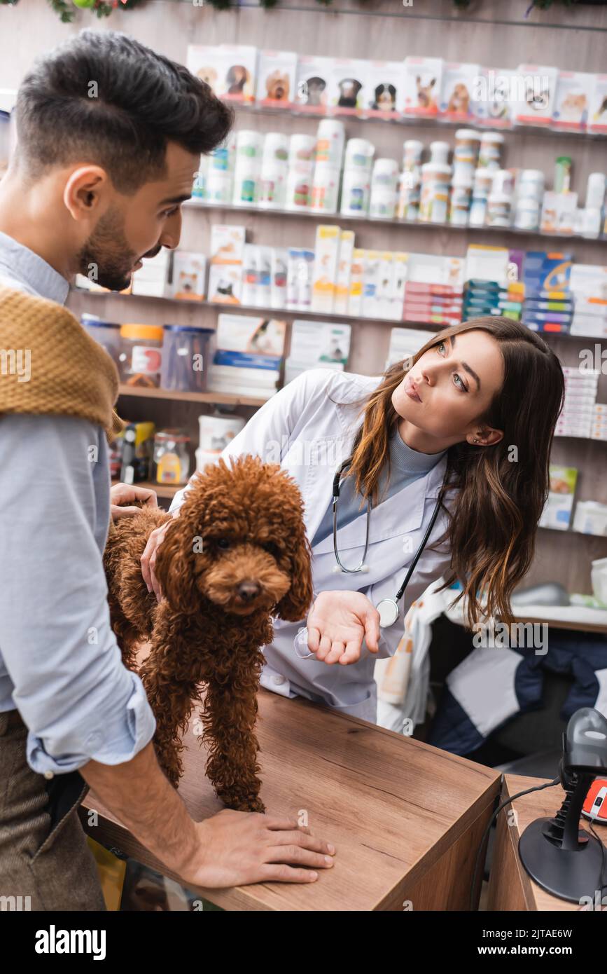 Veterinarian talking to arabian customer near poodle in pet shop Stock ...