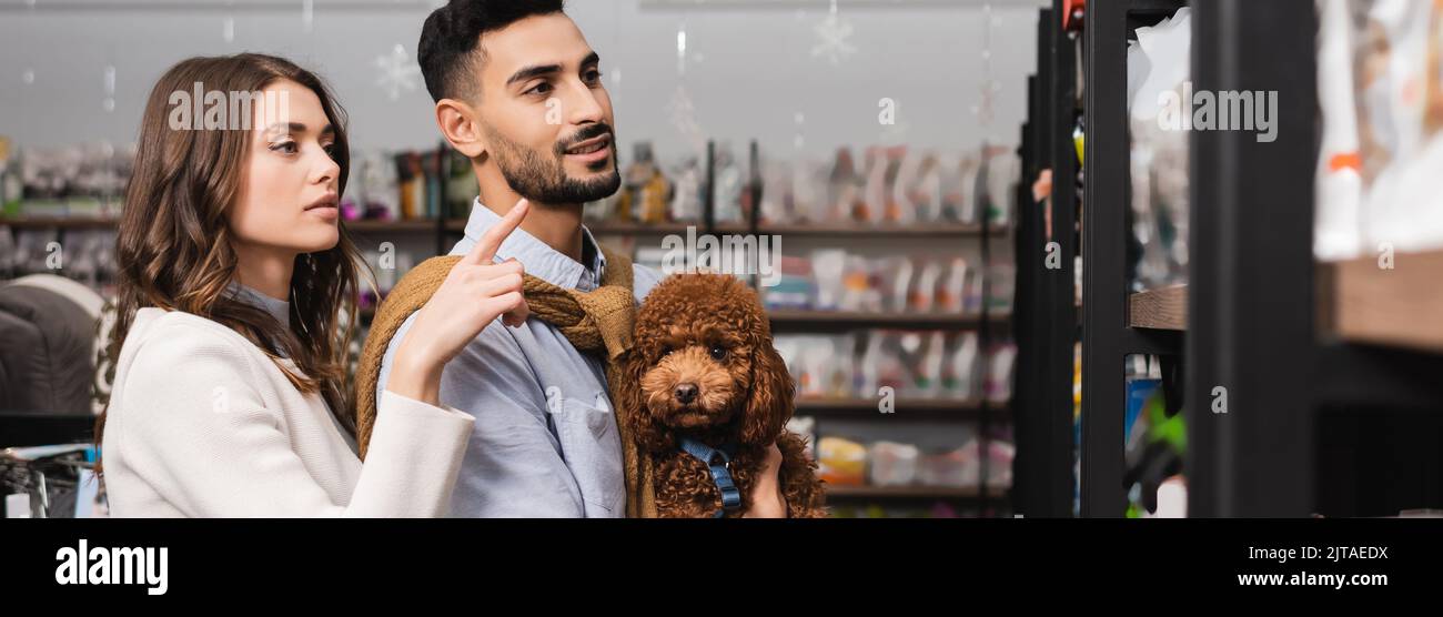 Woman pointing at showcase near arabian boyfriend with poodle in pet ...