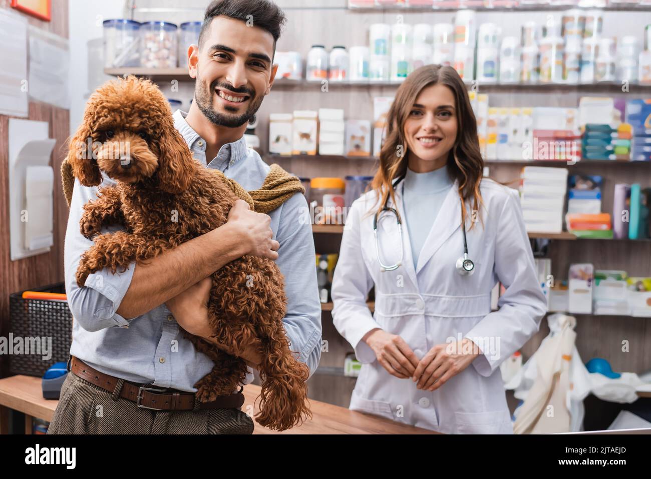 Smiling arbian man holding poodle near veterinarian in pet shop Stock ...