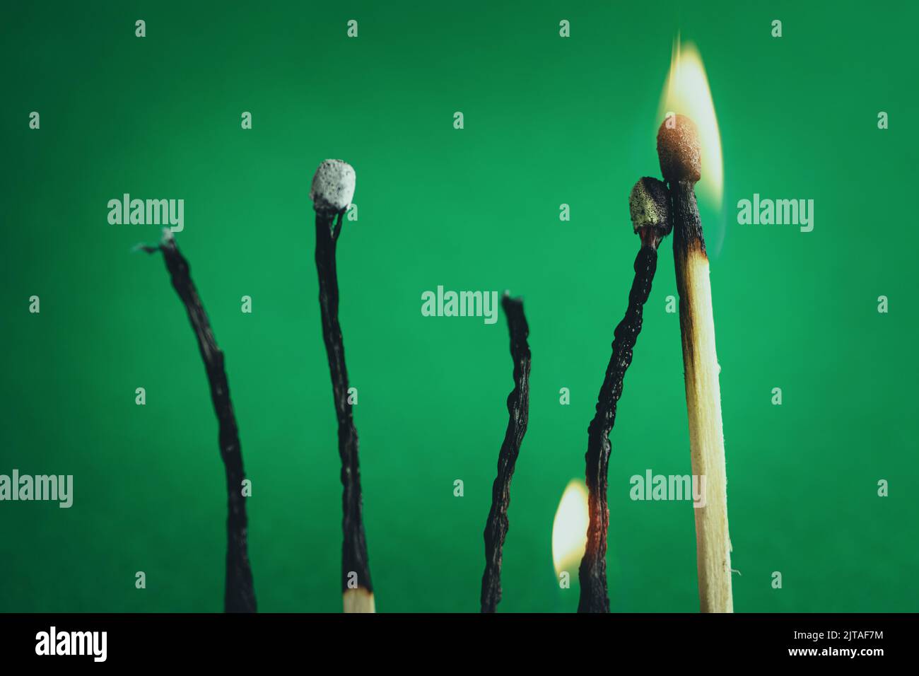 Burnt and bent matchsticks. Wooden matchsticks burning in on a green ...