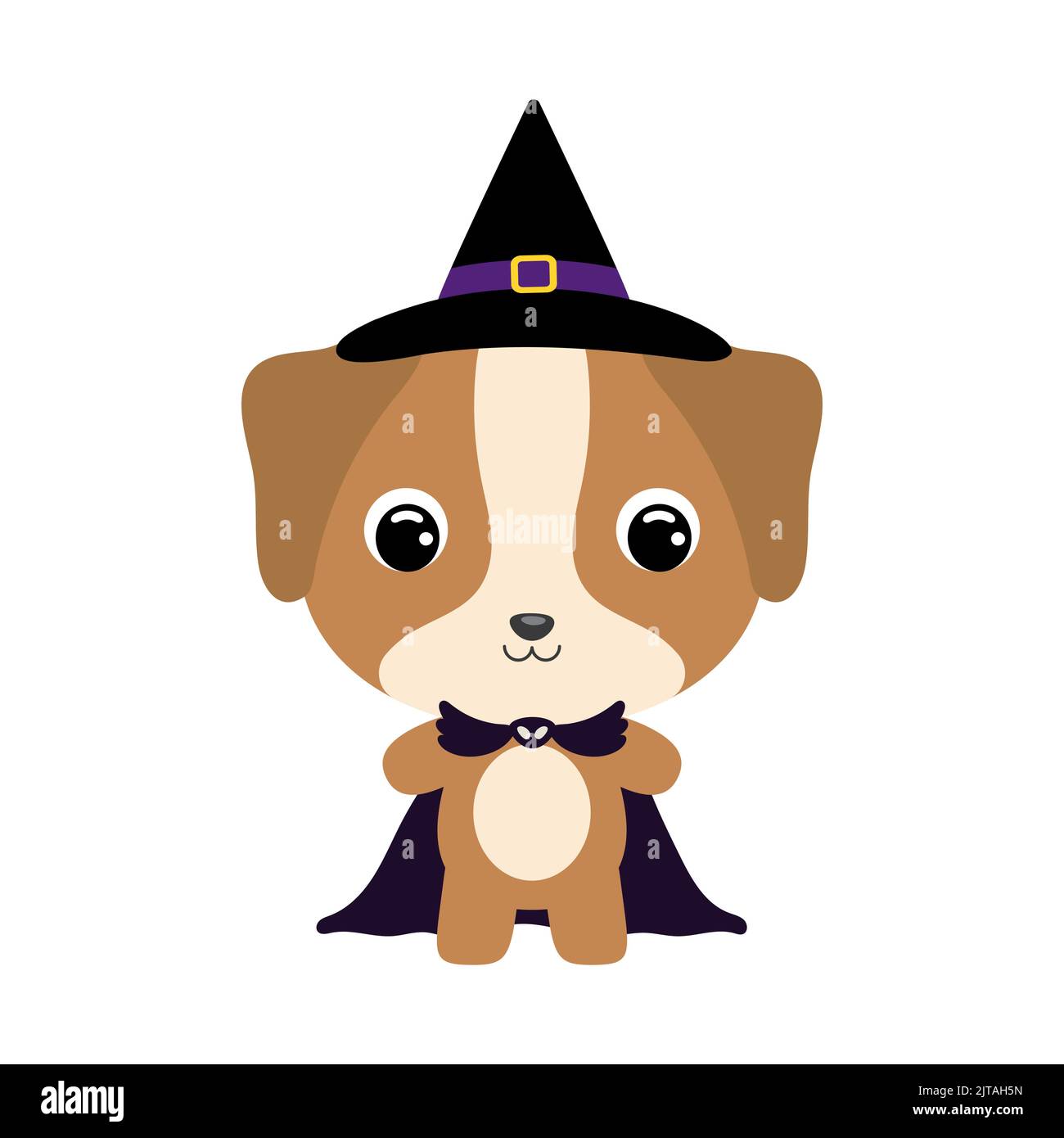 Cute little Halloween dog in a wizard costume. Cartoon animal character ...
