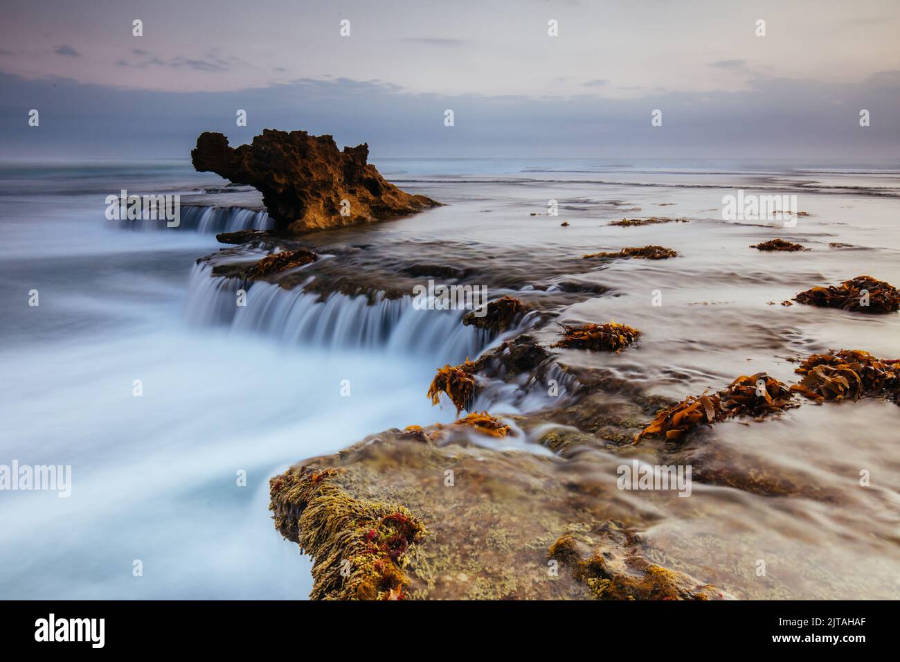 Dragon Head Rock on Mornington Peninsula Australia Stock Photo - Alamy