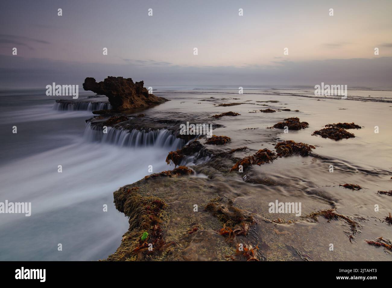 Dragon Head Rock on Mornington Peninsula Australia Stock Photo - Alamy