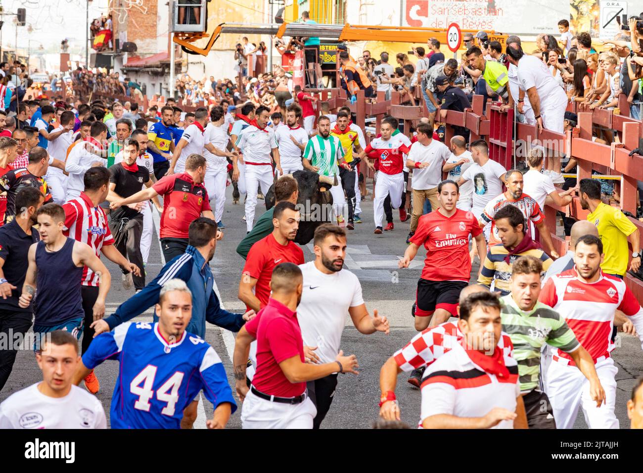 Running of the bulls. Bulls. Bull runs. San Fermines. Encierro that is ...