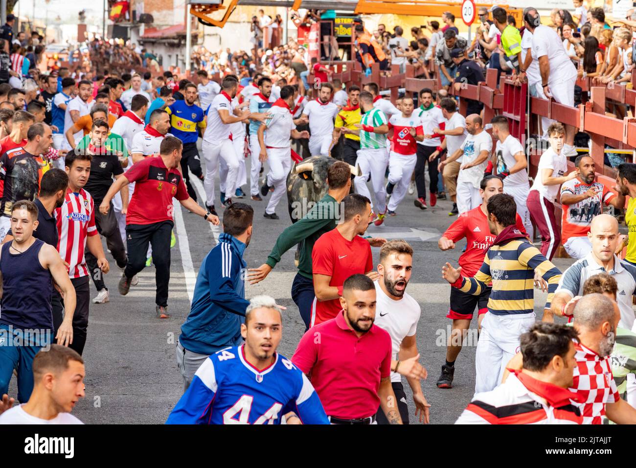 Bullfighting bull running hi-res stock photography and images - Alamy