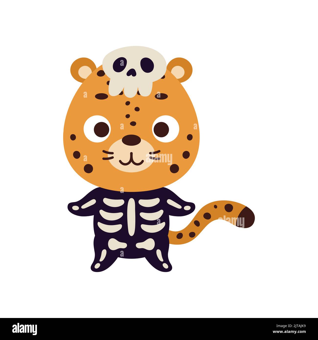 Cheetah skeleton hi-res stock photography and images - Alamy