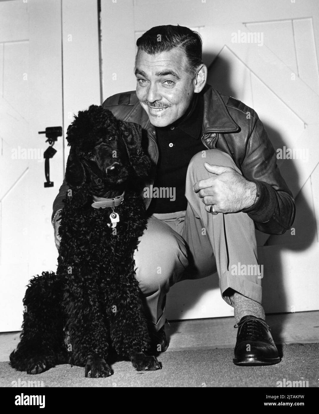 CLARK GABLE with Poodle Dog at Home candid 1949 portrait publicity for ...
