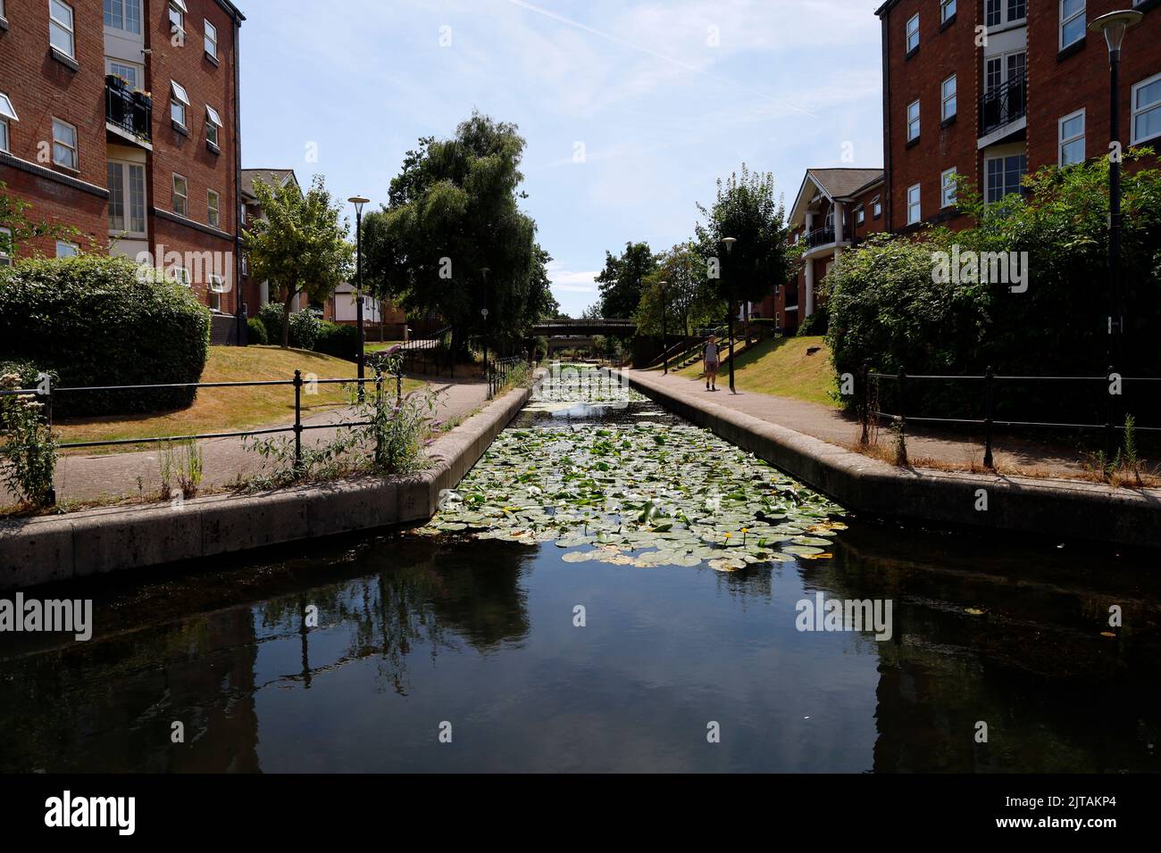 canal near Atlantic Wharf. Lily pads. Cardiff. August 2022 Stock Photo ...