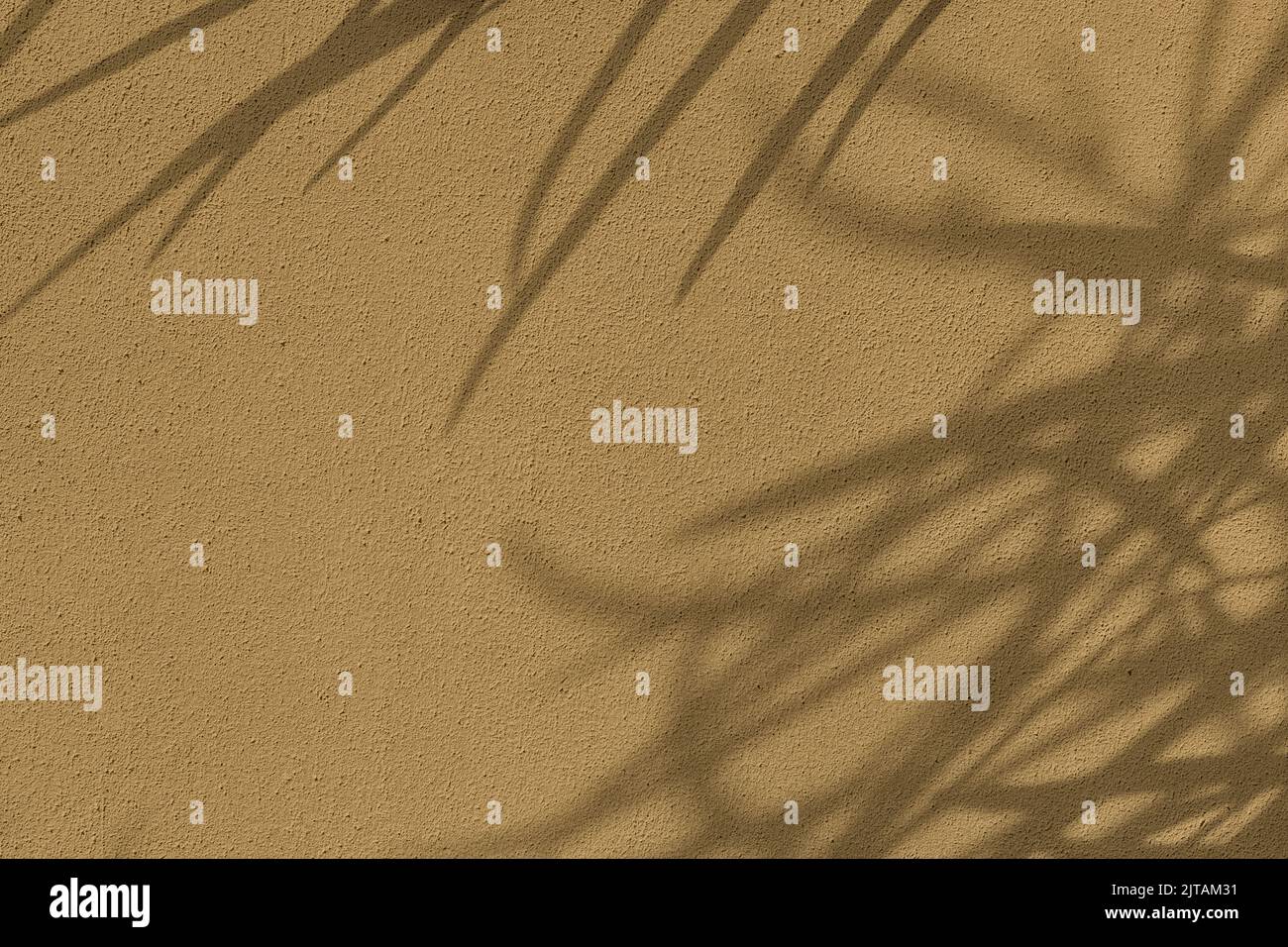Shadow of leaves on beige concrete wall texture background Stock Photo - Alamy