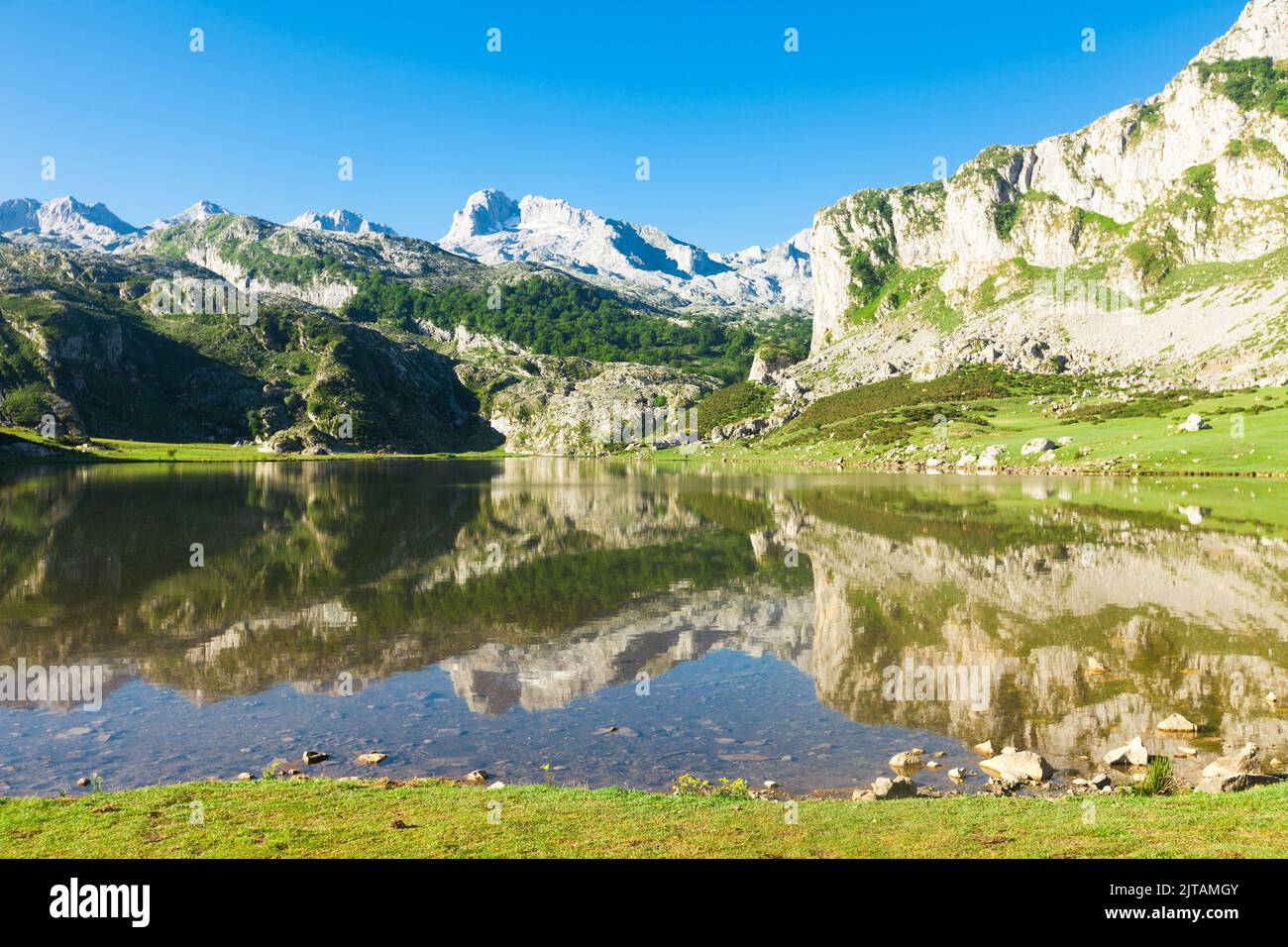 views of the mountain lake of the national park peaks of europe Stock ...