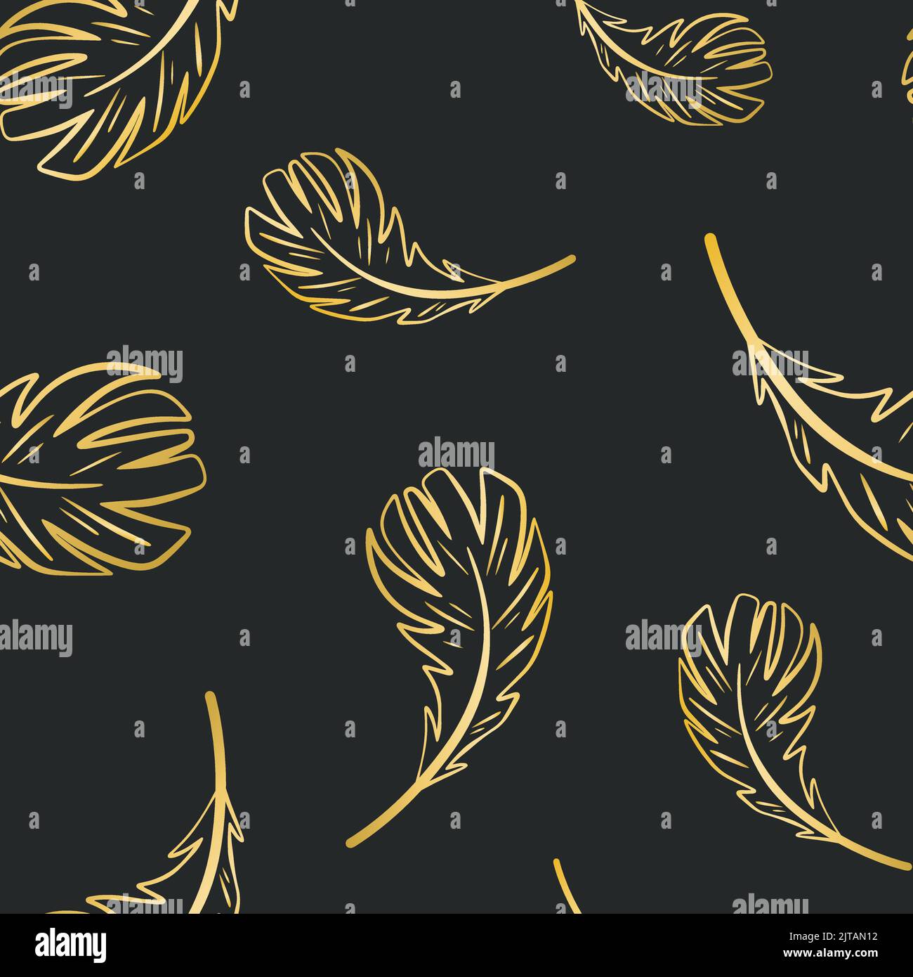 Black background with golden soaring feathers Stock Vector Image & Art ...