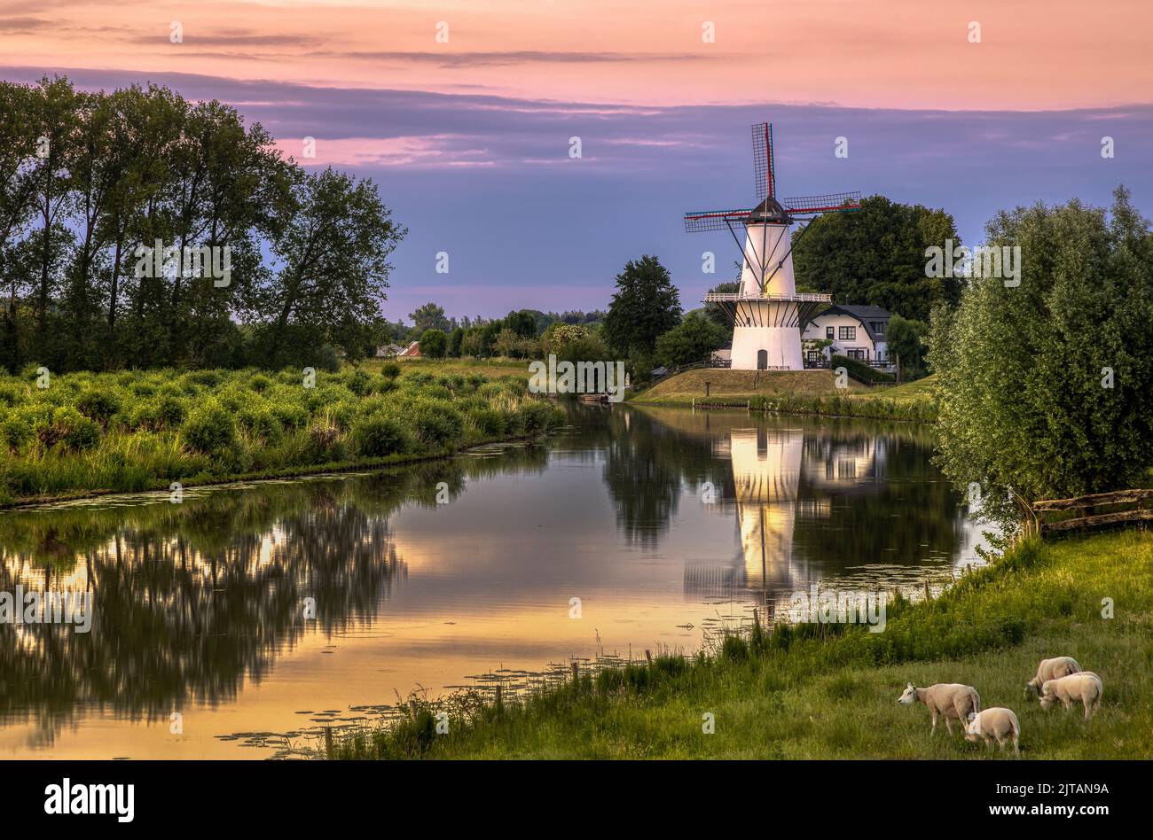 'De Vlinder' is a typical and picturesque Dutch windmill located in the ...