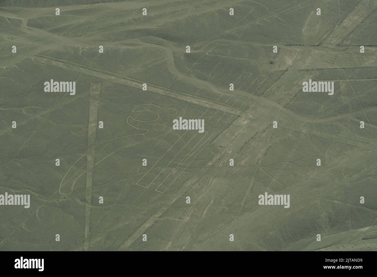 A beautiful shot of Nazca Condor Lines Geoglyphs in the Nasca desert ...