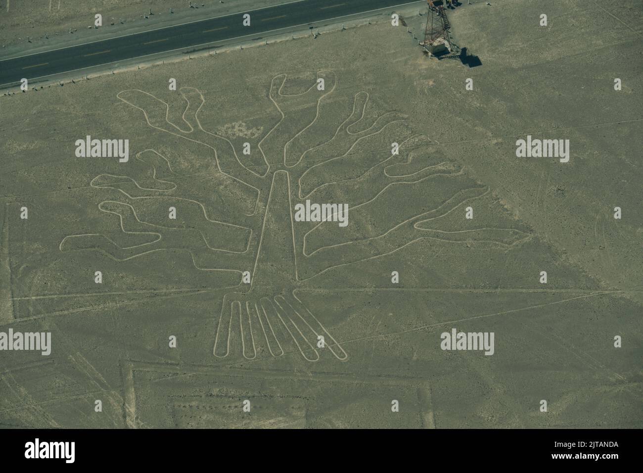 A beautiful shot of Nazca Condor Lines Geoglyphs in the Nasca desert ...