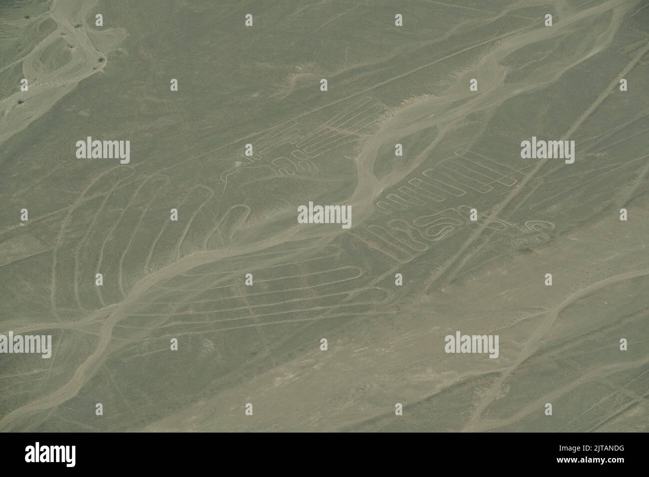 A beautiful shot of Nazca Condor Lines Geoglyphs in the Nasca desert ...