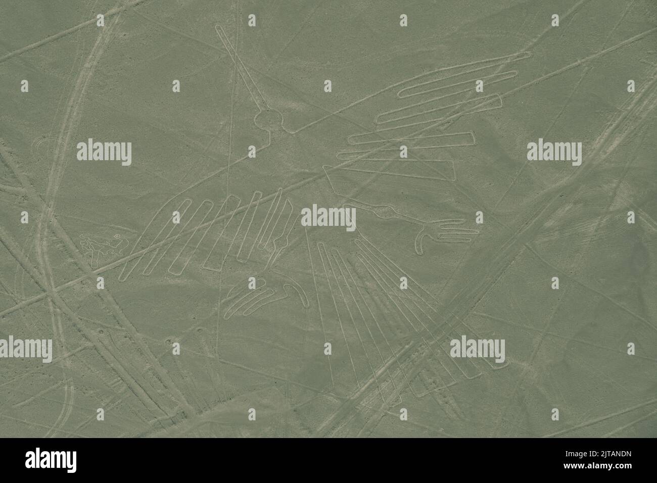 Nasca lines ground hi-res stock photography and images - Alamy