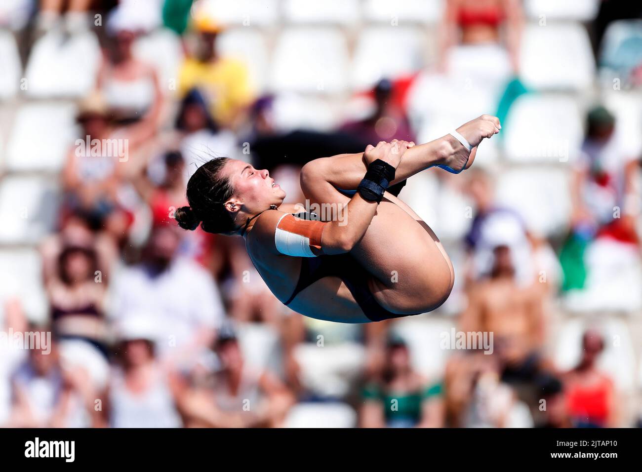 Maia biginelli hi-res stock photography and images - Alamy