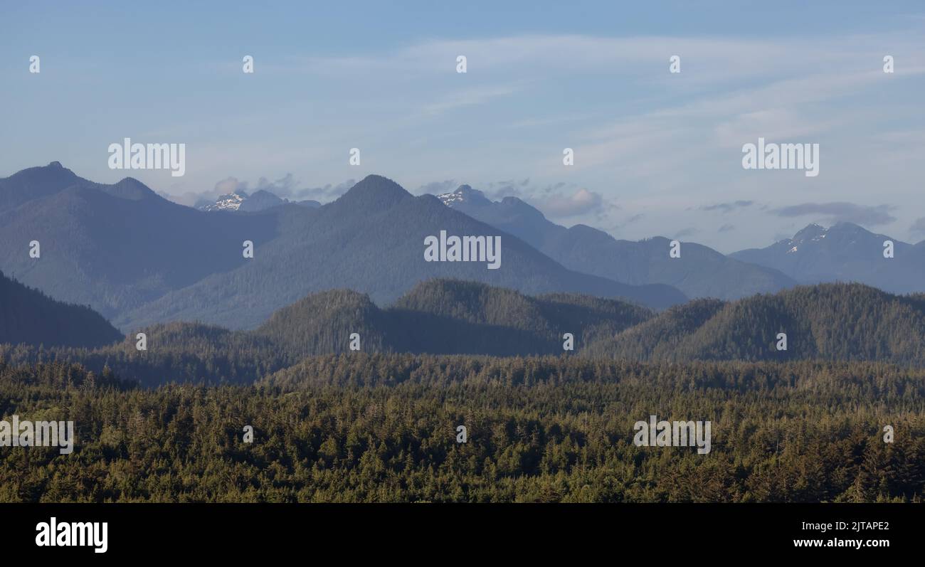 Green Trees and Mountain Landscape on the Pacific Ocean West Coast ...