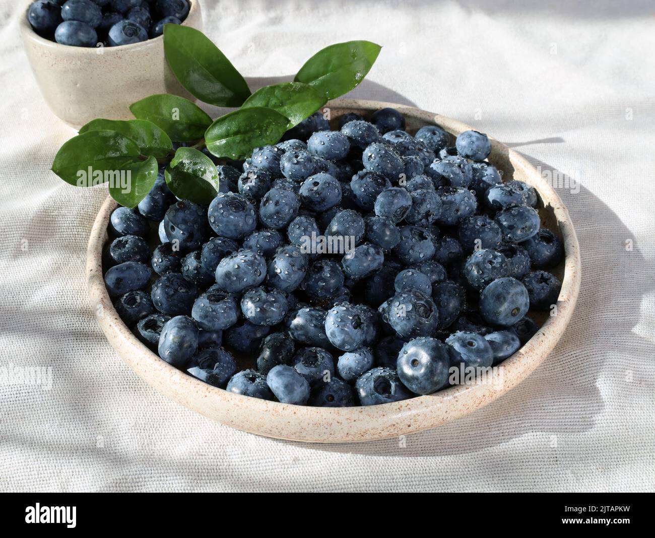 Blueberries on a plate, hard light. Fresh blueberries with water drops ...