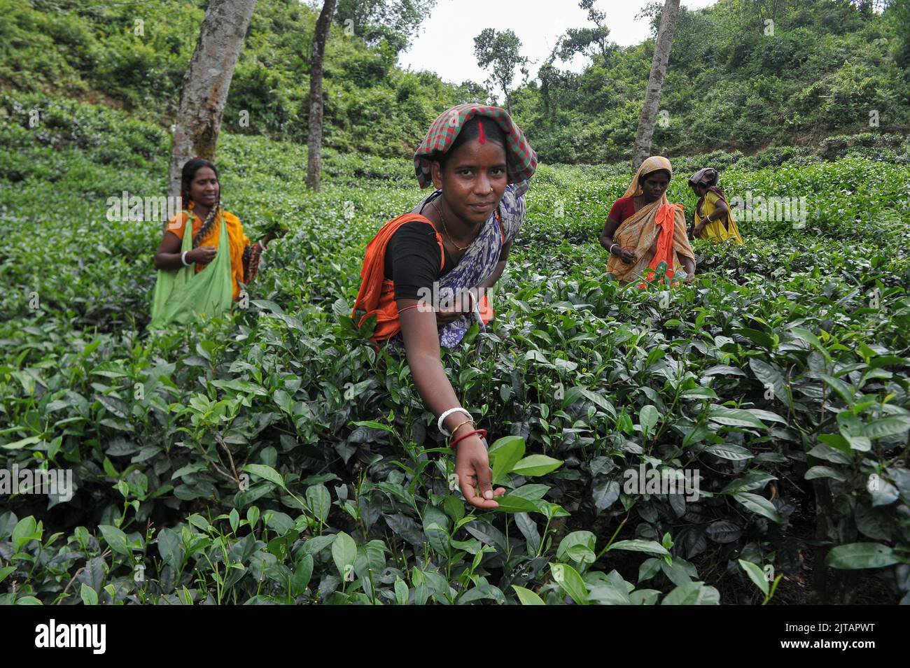 Sylhet, Mexico City, Bangladesh. 28th Aug, 2022. August 28, 2022, Sylhet, Bangladesh ...