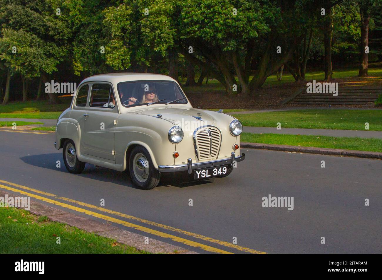 1958 50s fifties Cream Austin A35 1100cc Petrol; Cars arriving at the annual Stanley Park ...