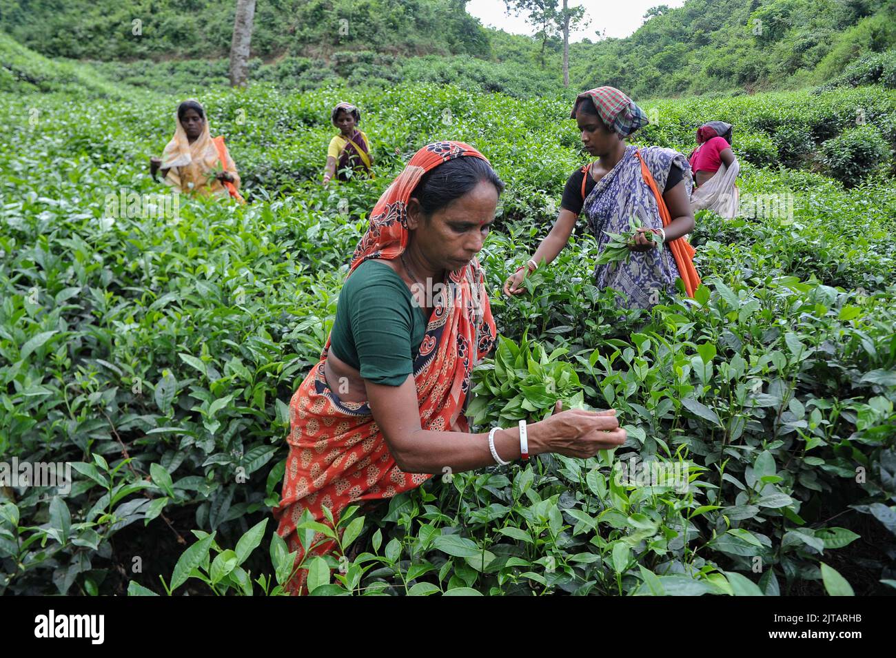 Sylhet, Mexico City, Bangladesh. 28th Aug, 2022. August 28, 2022, Sylhet, Bangladesh ...