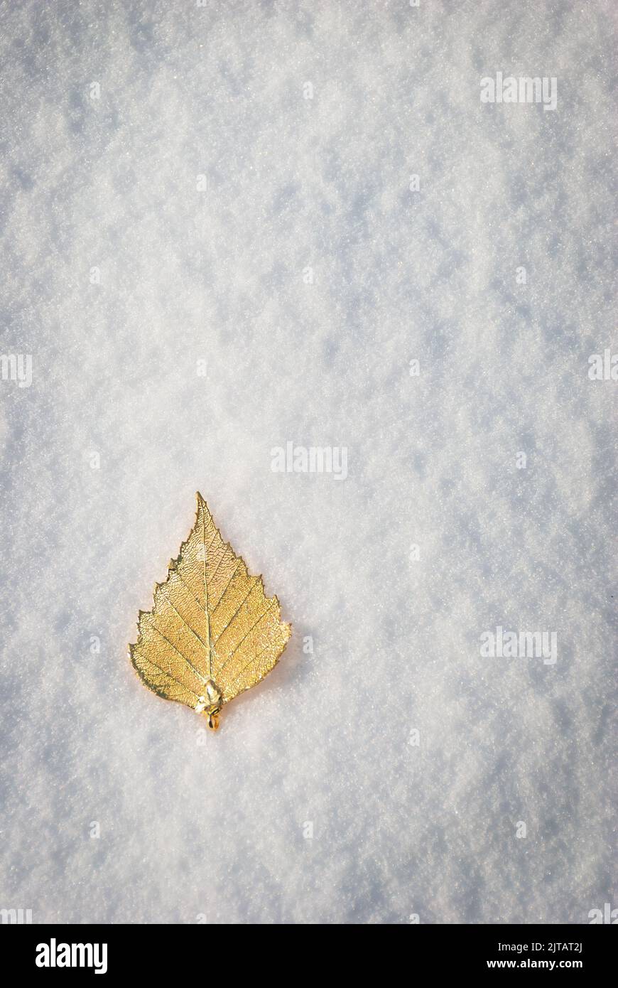 Dipped Rhomboidal Leaf - Lower Left Stock Photo - Alamy