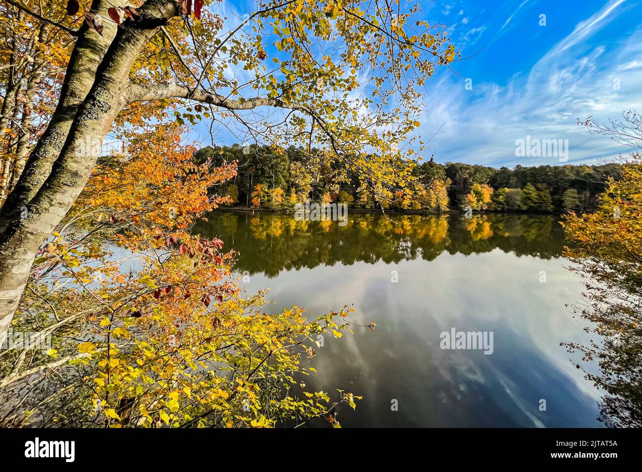 Stand out colors hi-res stock photography and images - Alamy
