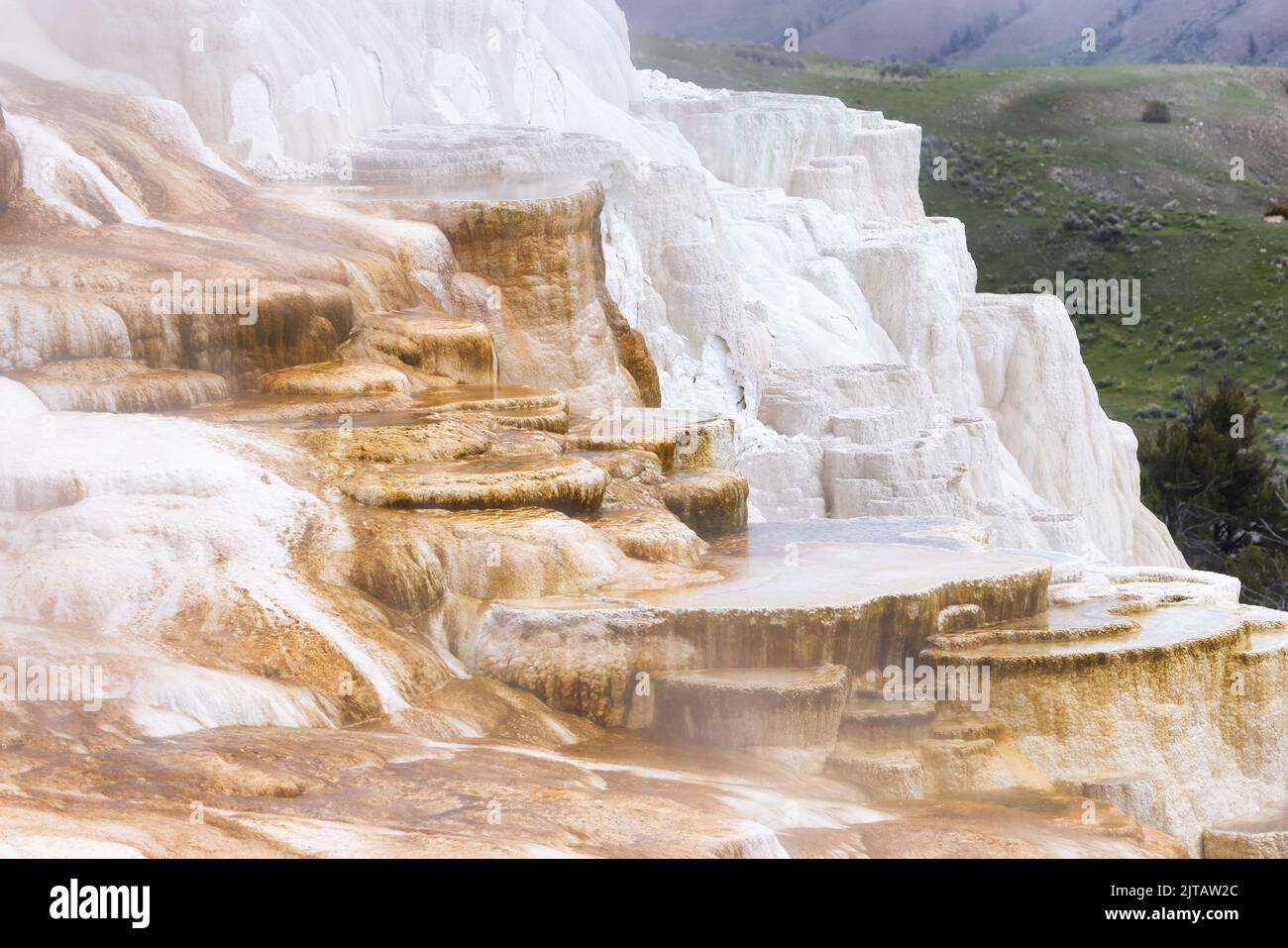 Hot Spring Landscape with colorful ground formation. Mammoth Hot ...